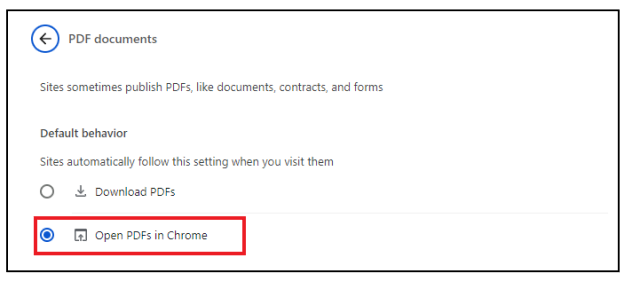 Unable To View PDFs in Browser